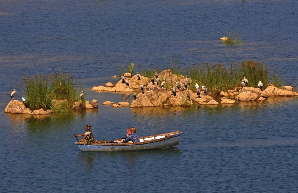 Ken River Lodge, Panna | Stay for Tiger Safari | Luxury Jungle Resorts ...