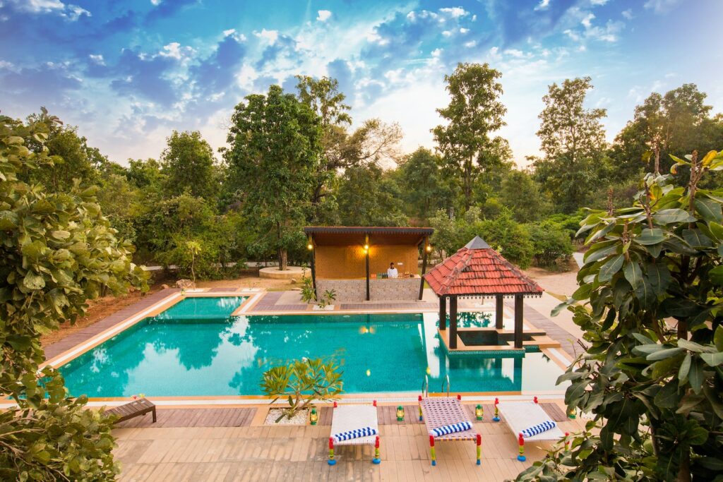 The Tiger Safari | Trusted Jungle Safari, Tour Company | Wildlife & Tiger Safari Package